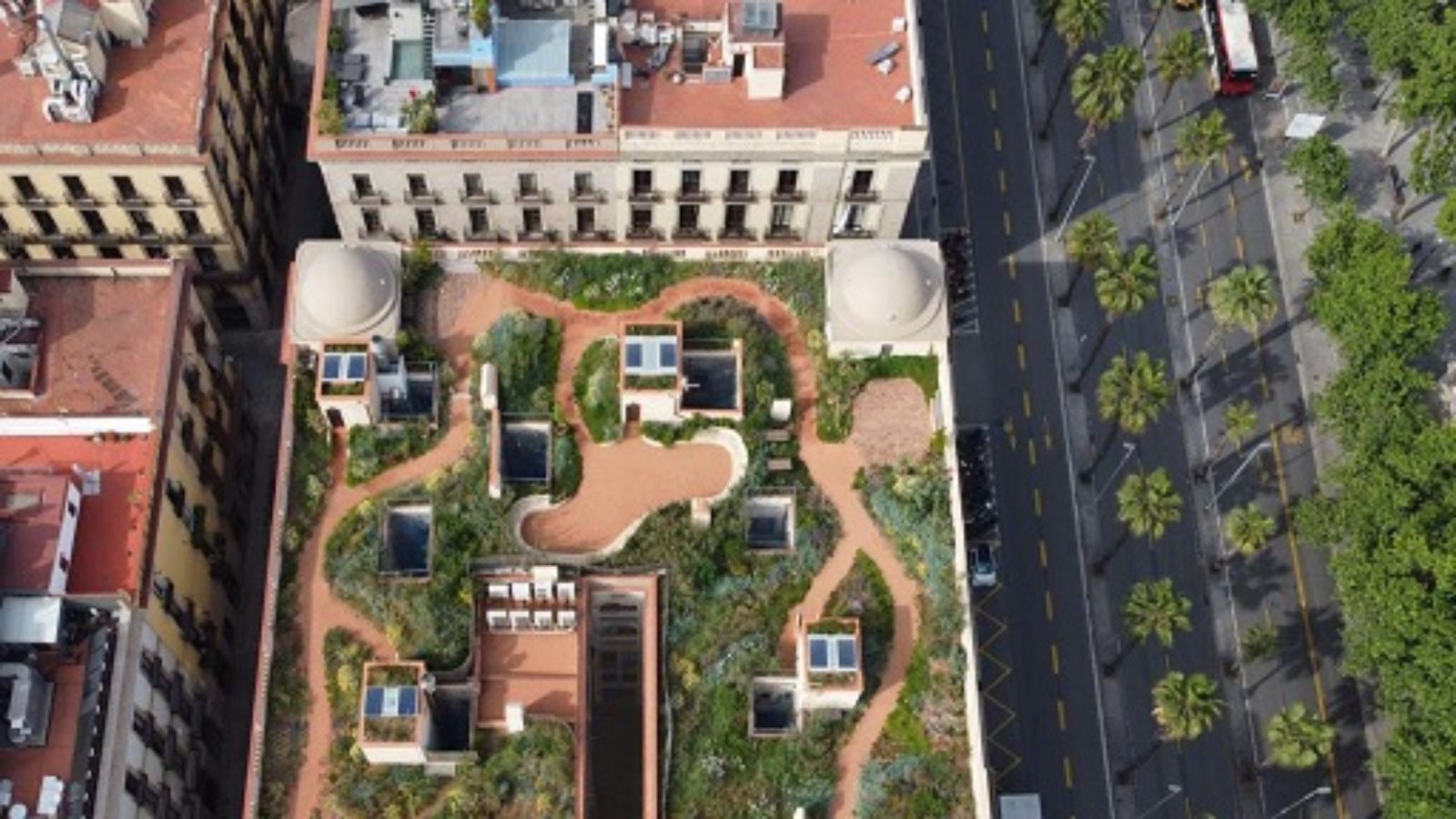 Terrats verds i comestibles, la revolució dels horts urbans apunta alt ...