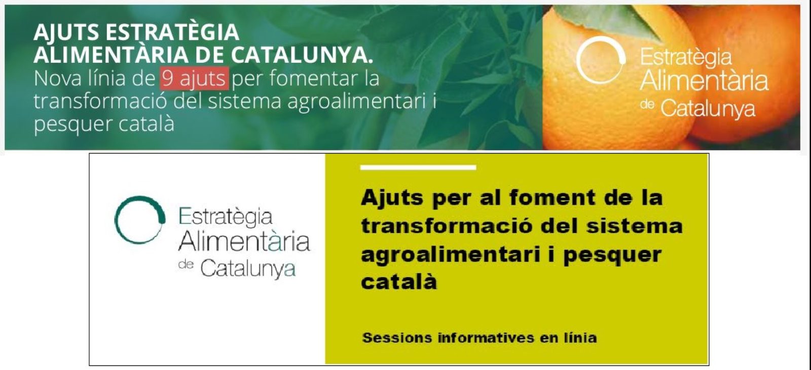 Ajuts per al foment de la transformació del sistema agroalimentari i ...